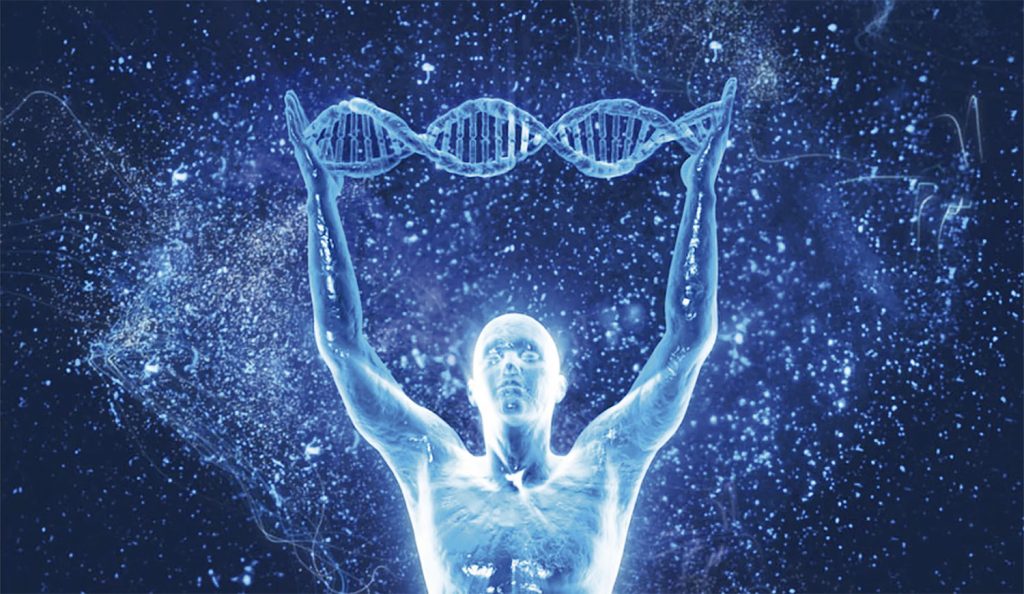 Para qué sirven los genes - 20 palabras